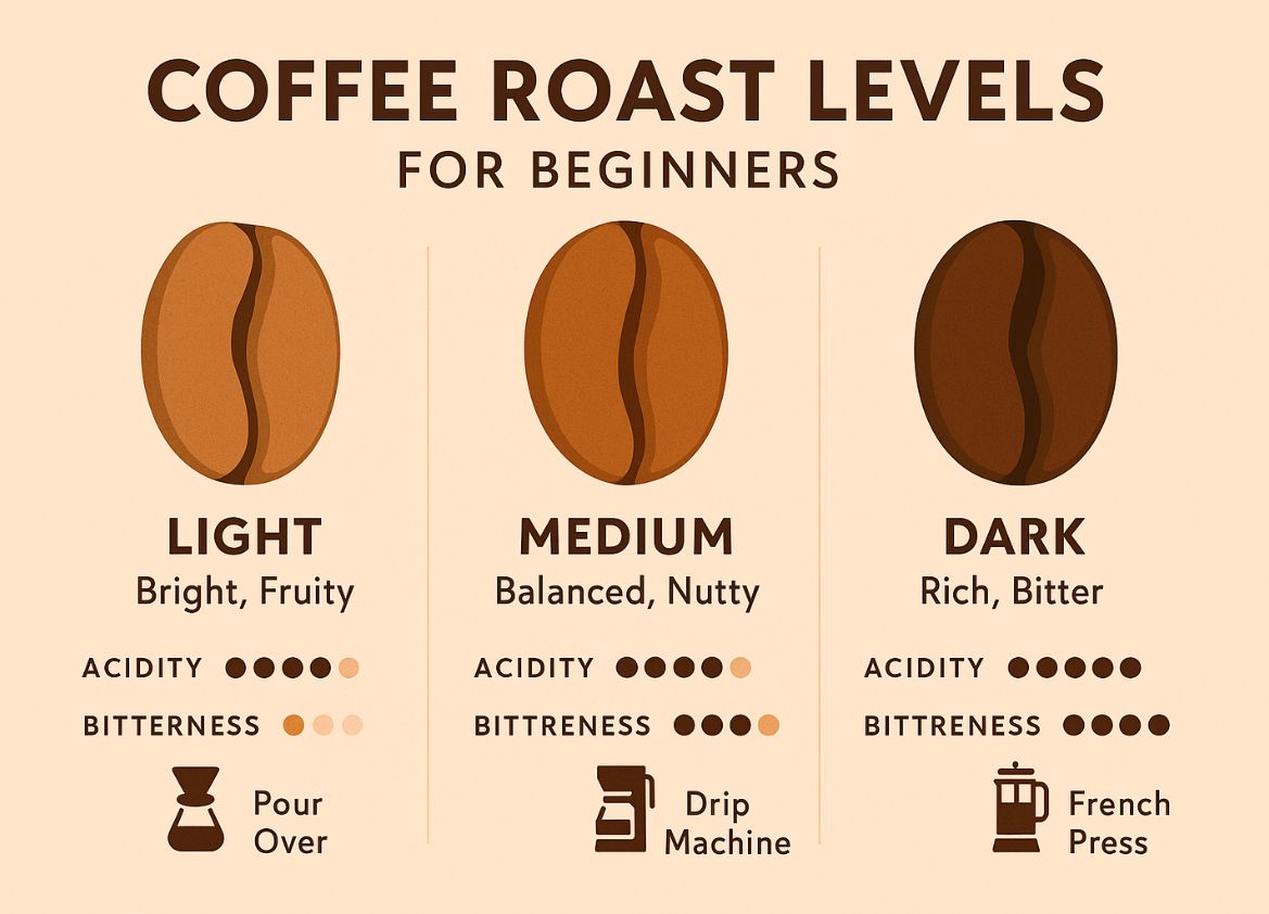 What is the Best Coffee for Beginners- Your Complete Guide to Starting ...